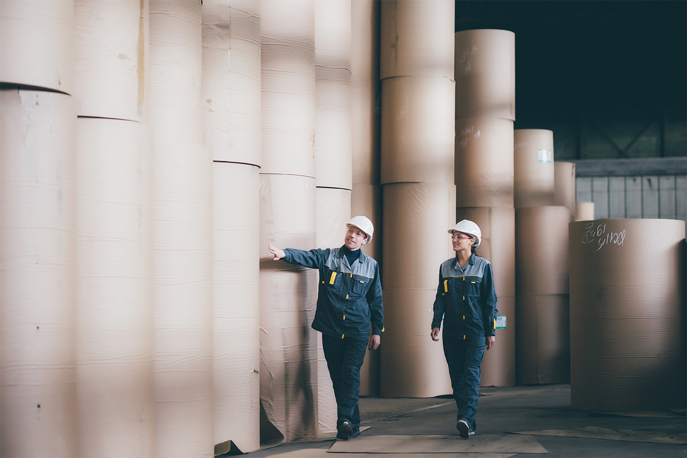 Global Geese – Global Geese Logistics